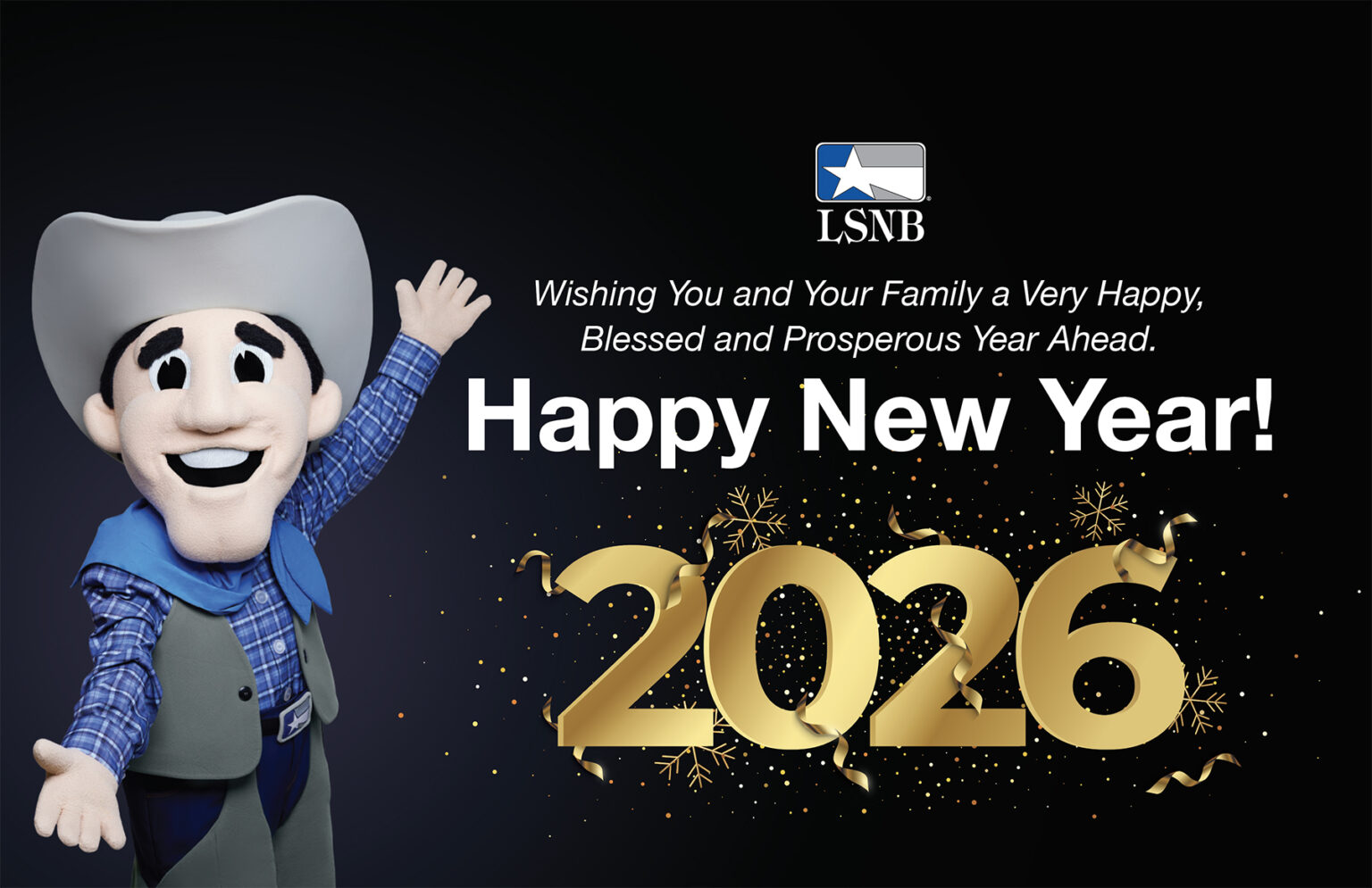 New Digital Banking Platform | Lone Star National Bank